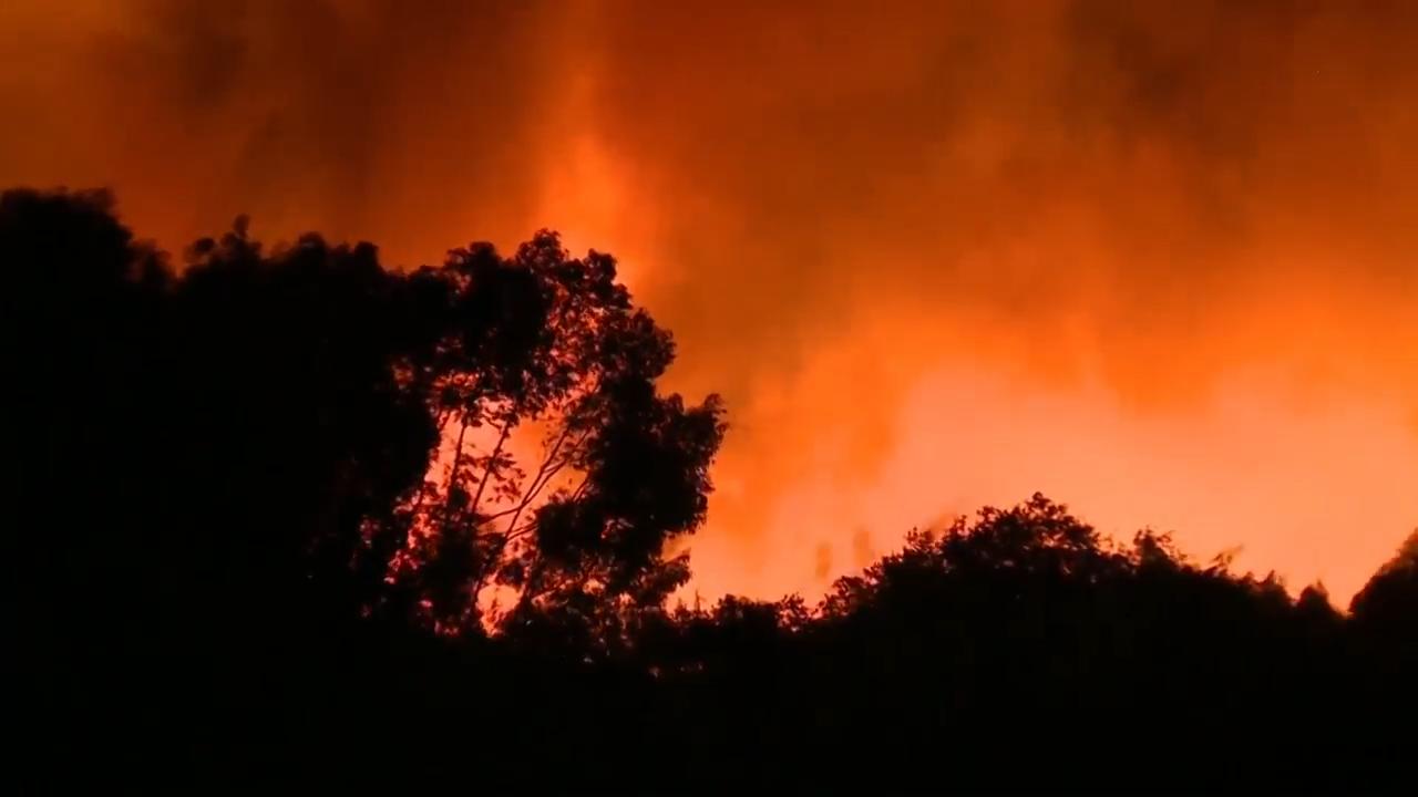 More than 2,000 firefighters battle wildfires across Portugal