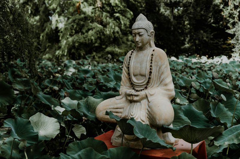 10 Must Read Life Lessons from Buddha