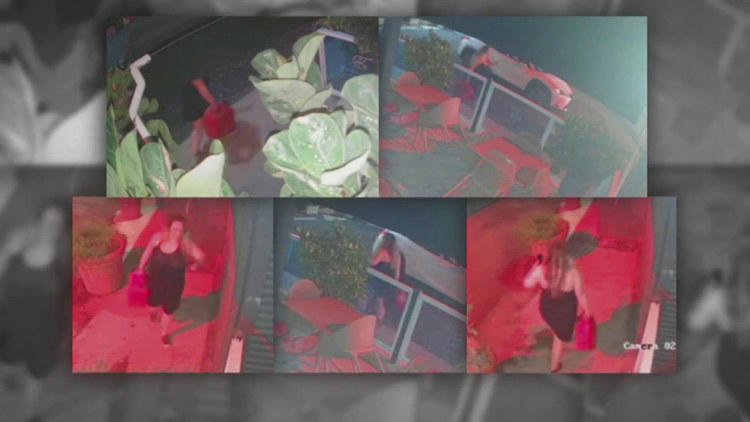 St. Peters woman who burned down 3 Puerto Rico businesses gets minimum ...