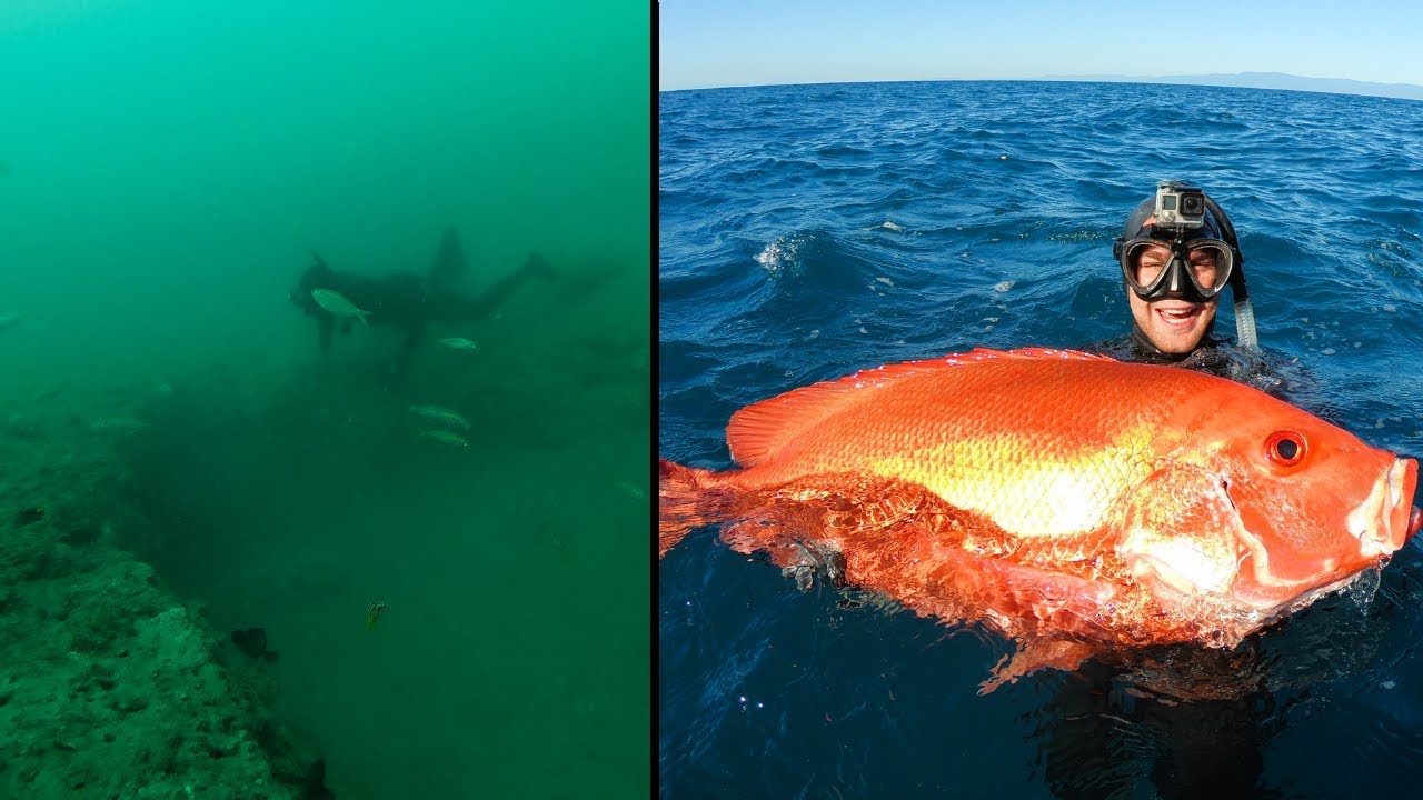 Wonky Holes Led Us to the Biggest Fish of Our Lives - B2B Ep 4