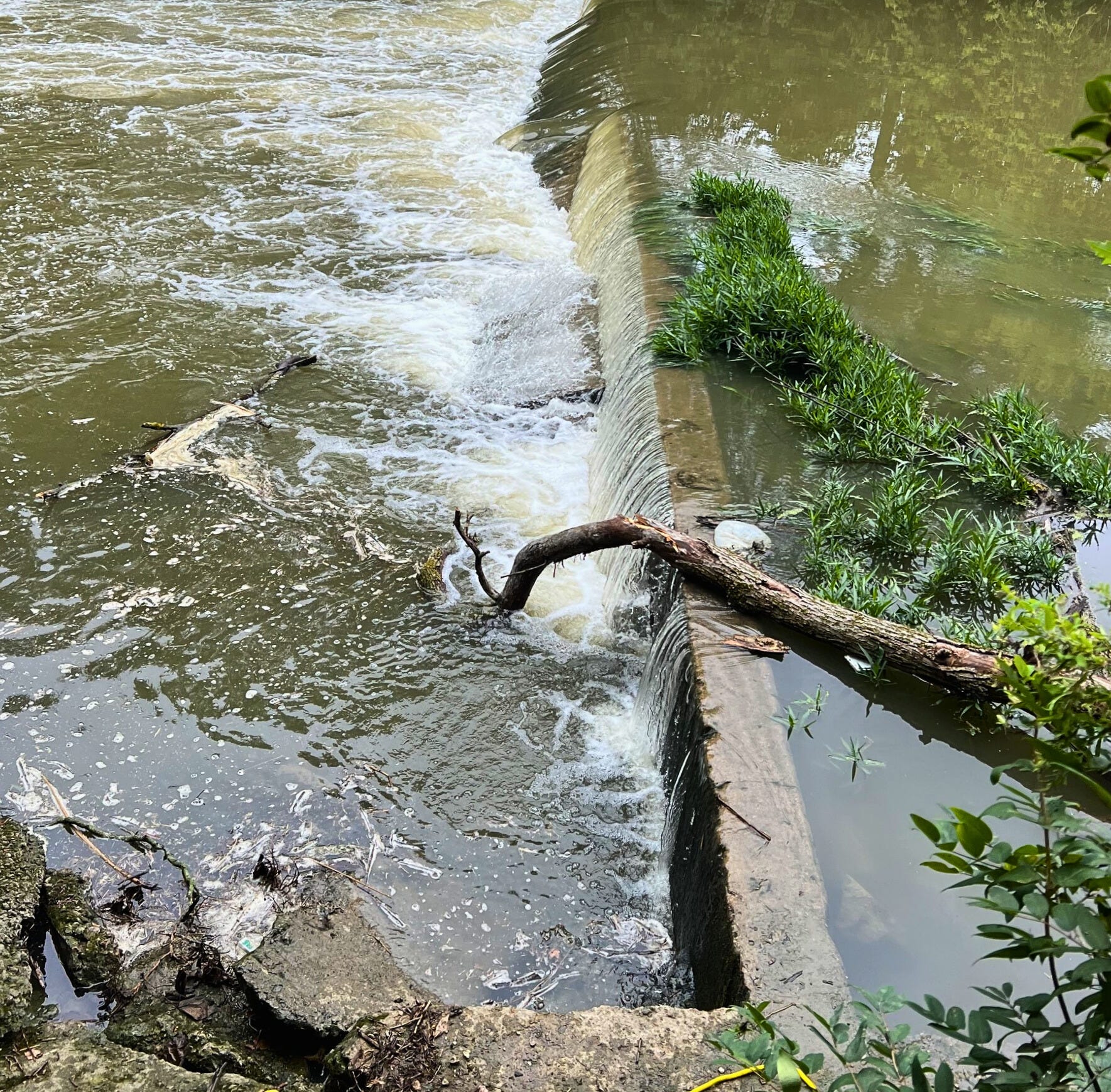 Water rescue performed as Pontiac Fire Department saves canoer on ...