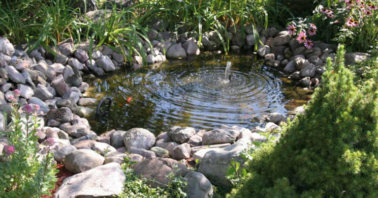 First Complex Life on Earth Formed 1.5 Billion Years Earlier Than ...