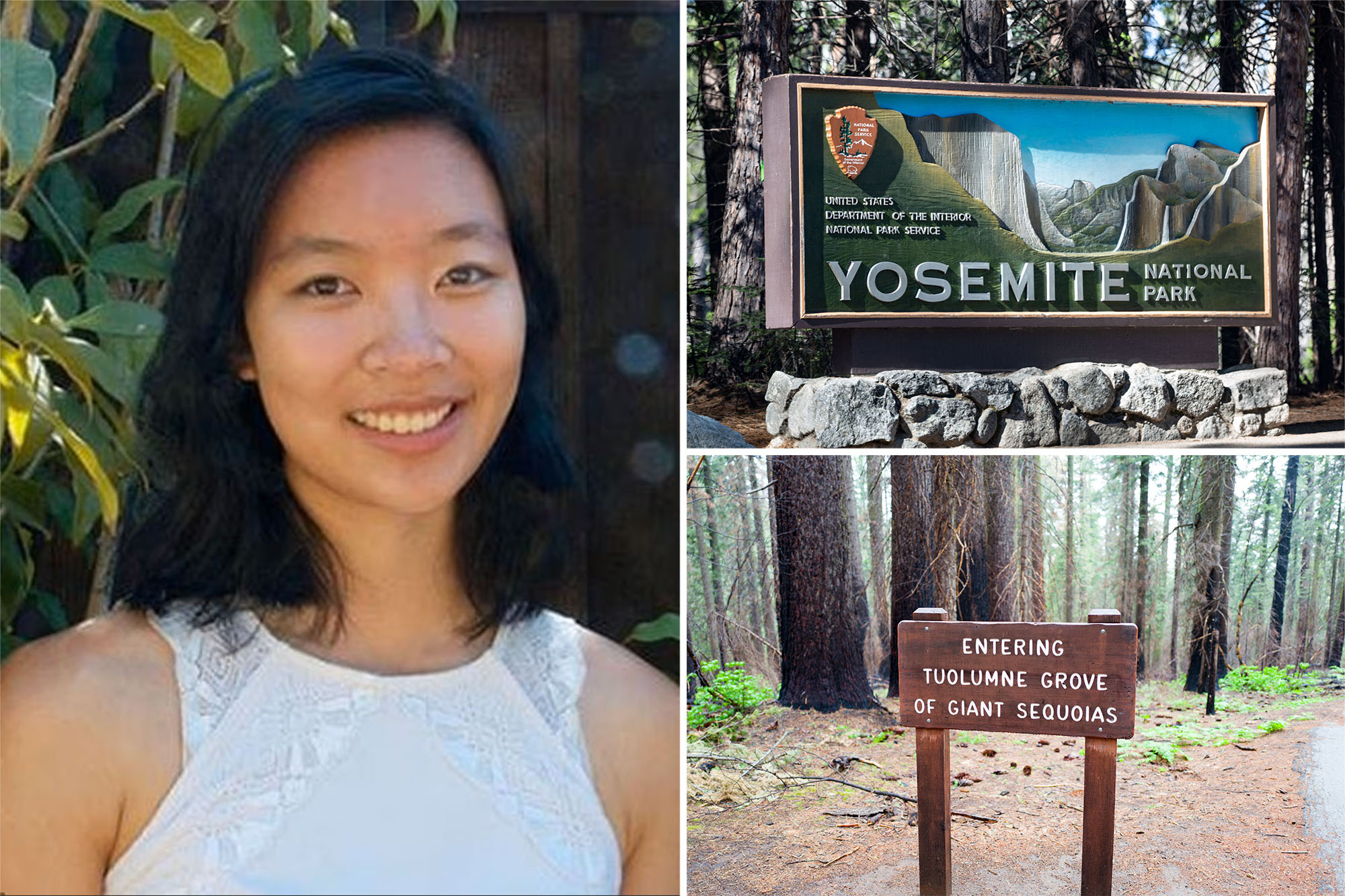 29-year-old Google engineer dies in freak accident on popular Yosemite ...