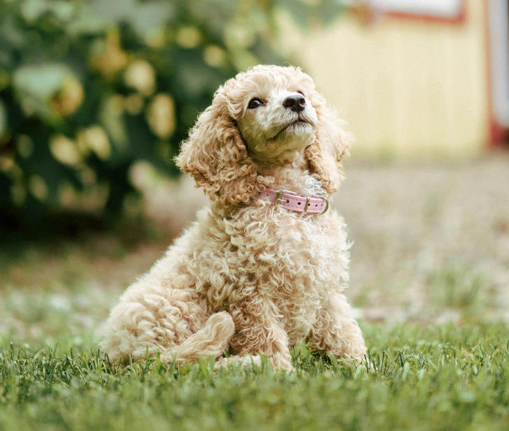 15 stories that teach us to stay kind, even when life turns heavy