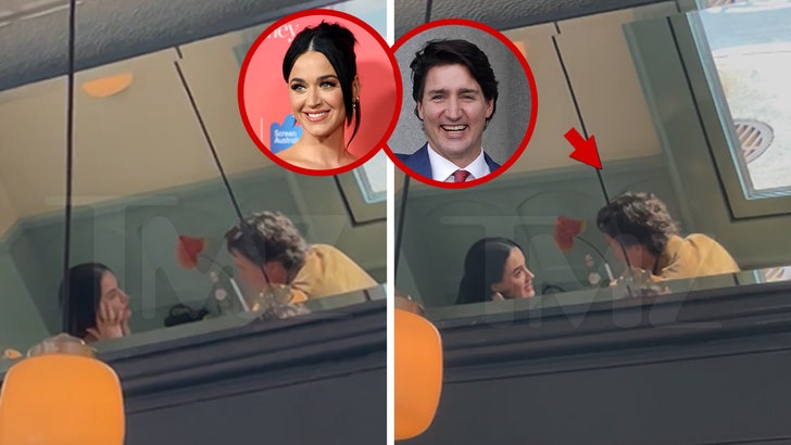 Justin Trudeau and Katy Perry Enjoy Casual Pre-Dinner Walk In The Park ...