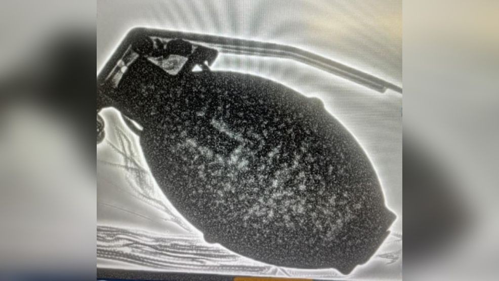 Live grenade found in car leads to federal charge for Candler man ...