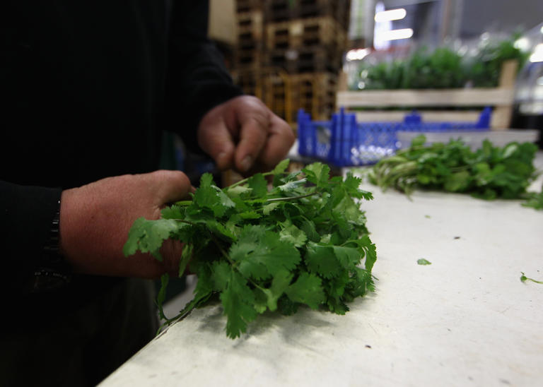 The herb linked to reduced inflammation and lower anxiety