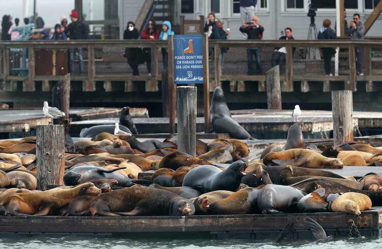 Quiz: How well do you know San Francisco's tourist hot spots?