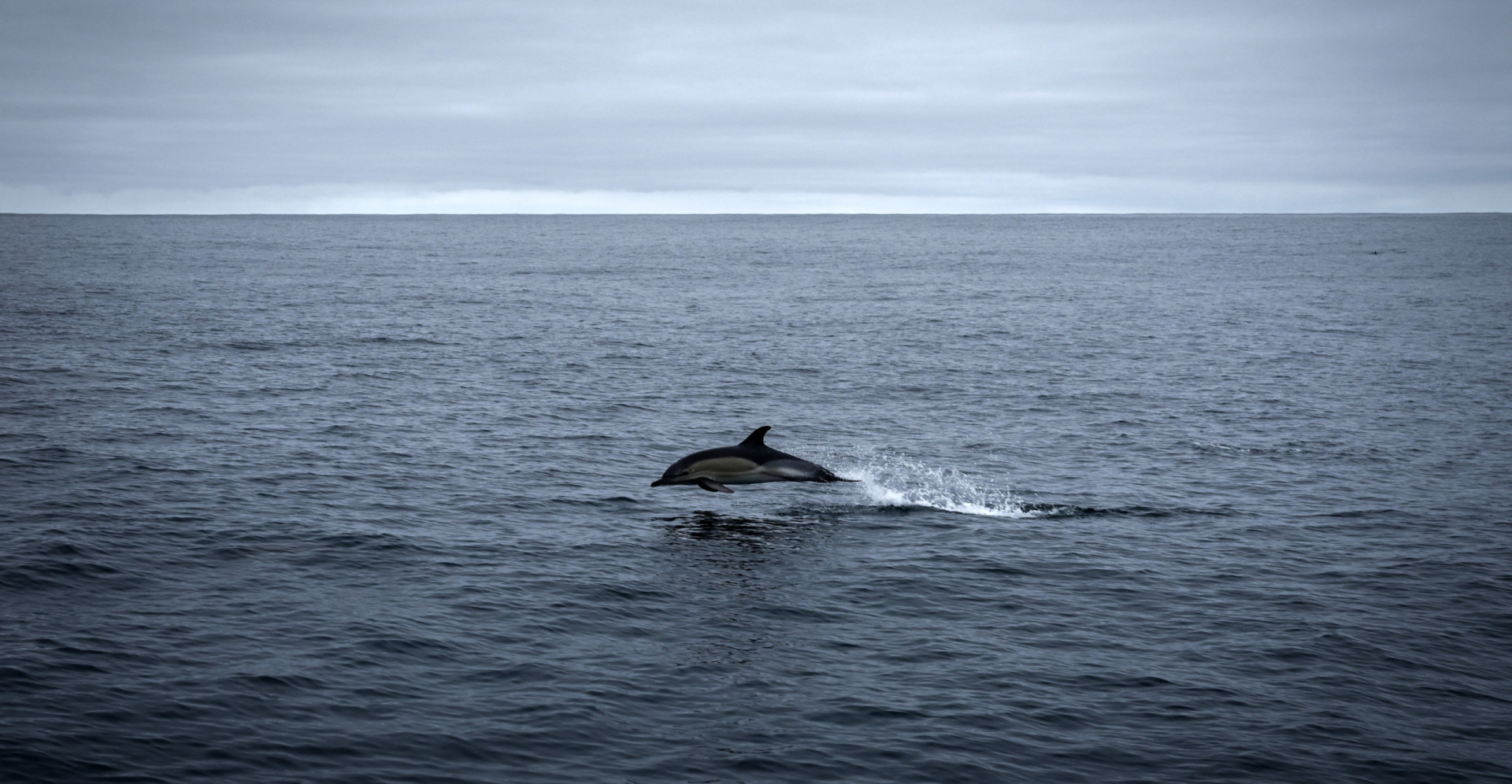 Scientist warns of changes in the Atlantic Ocean