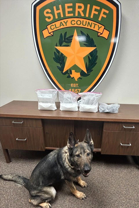 Clay County Sheriffs make ‘major drug bust’