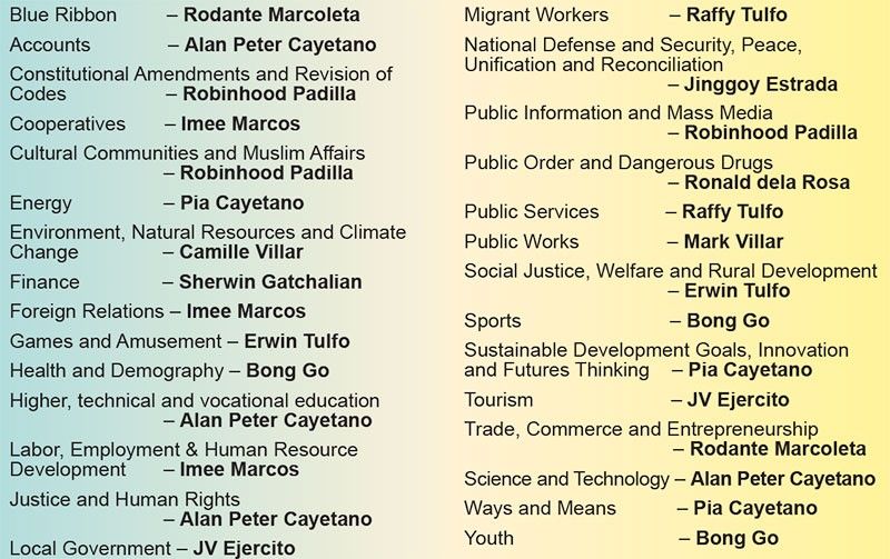 Senate elects panel heads; Marcoleta gets Blue Ribbon