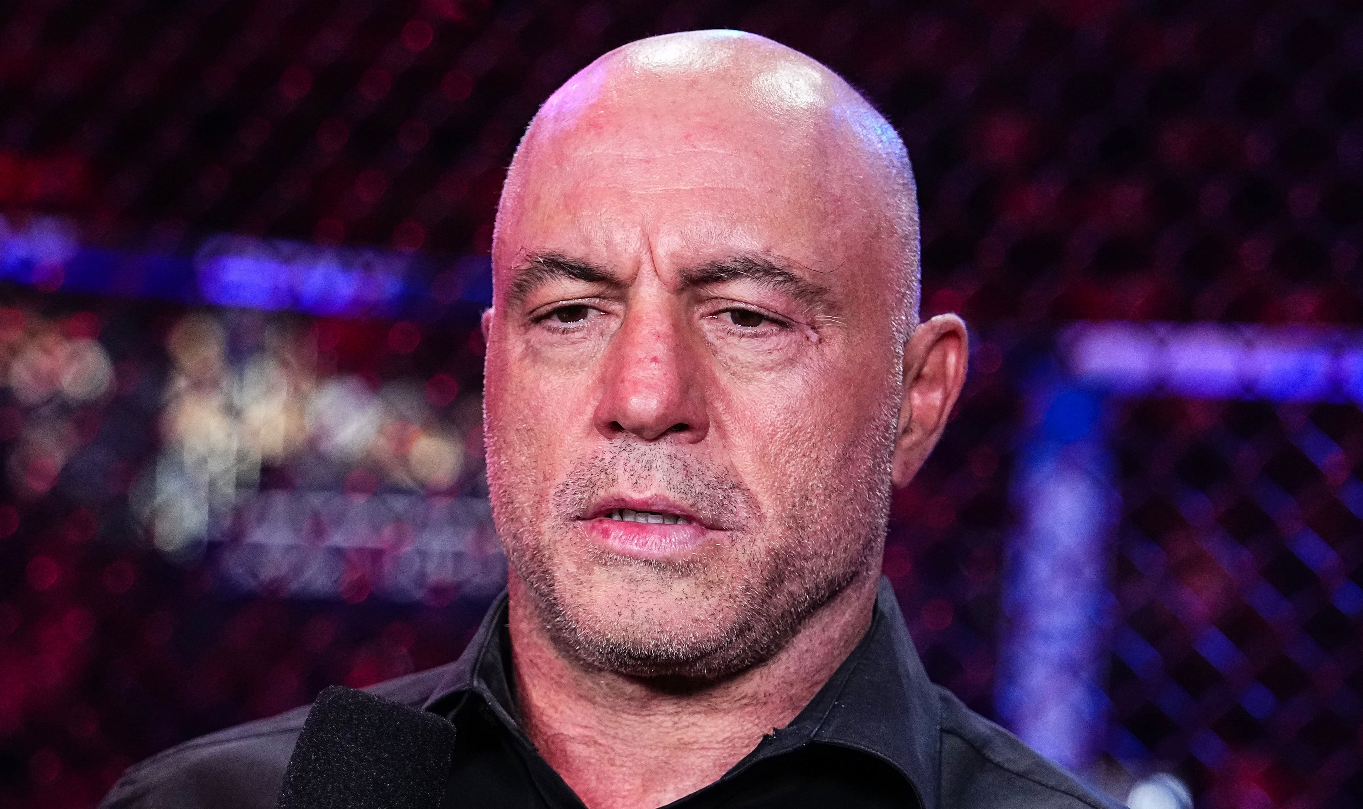 Joe Rogan’s Comedian Pals Regret Following Him to Texas