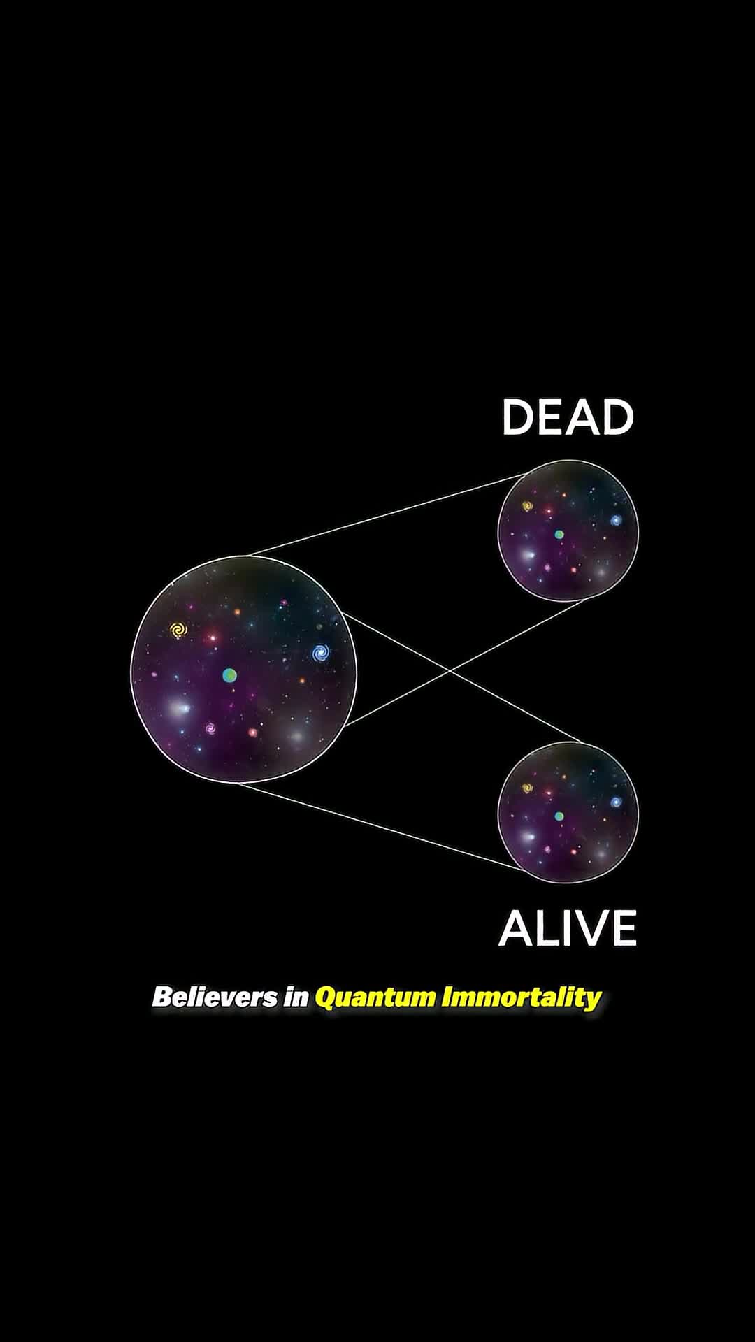 The Scariest Physics Theory (Quantum Immortality)