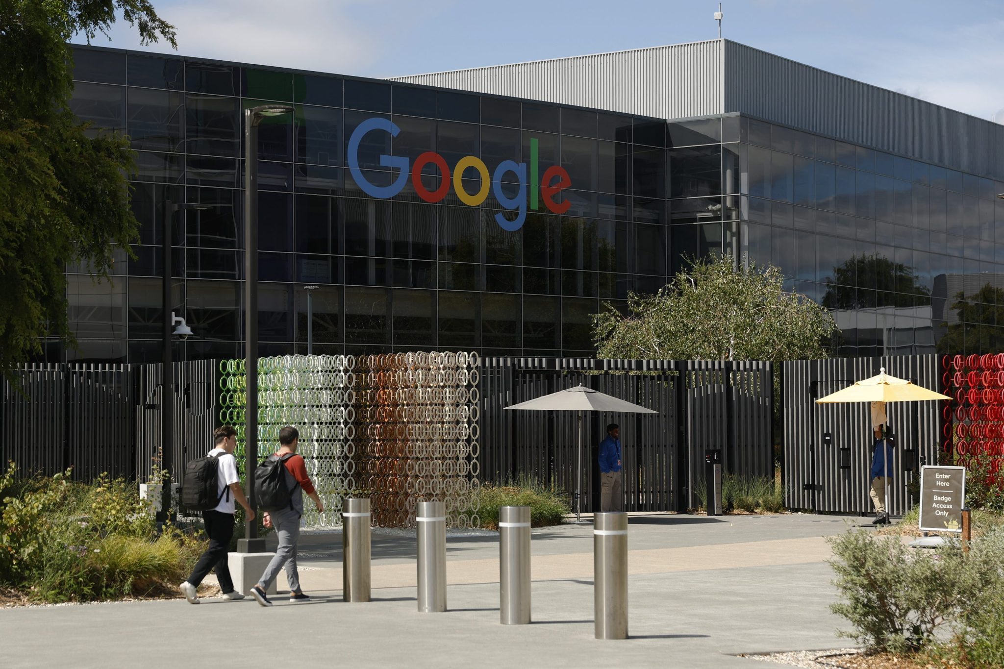 A 29-year-old Google engineer was killed by a falling tree branch ...