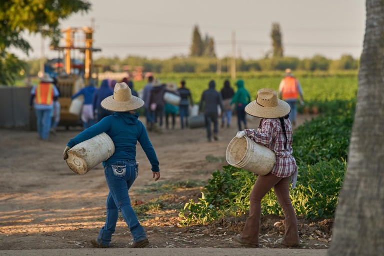 Border Report Live: Mexico helps citizens facing deportation from US
