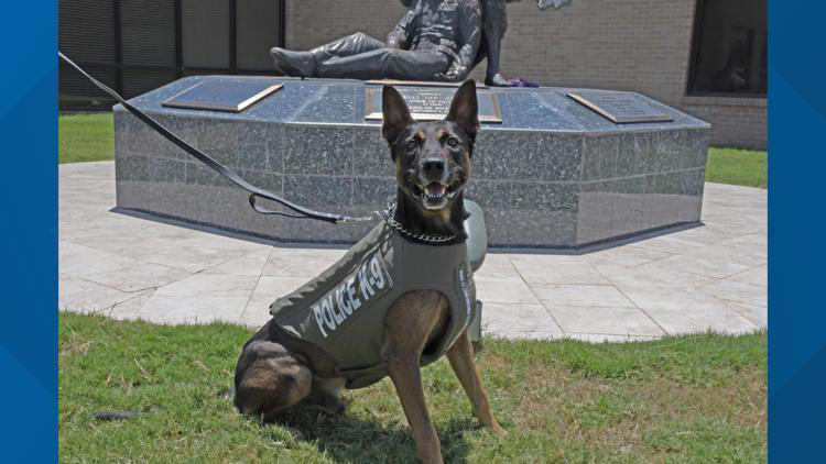 Odessa Police K9s receive protective vests through national donation ... Odessa Police K9s receive protective vests through national donation ...