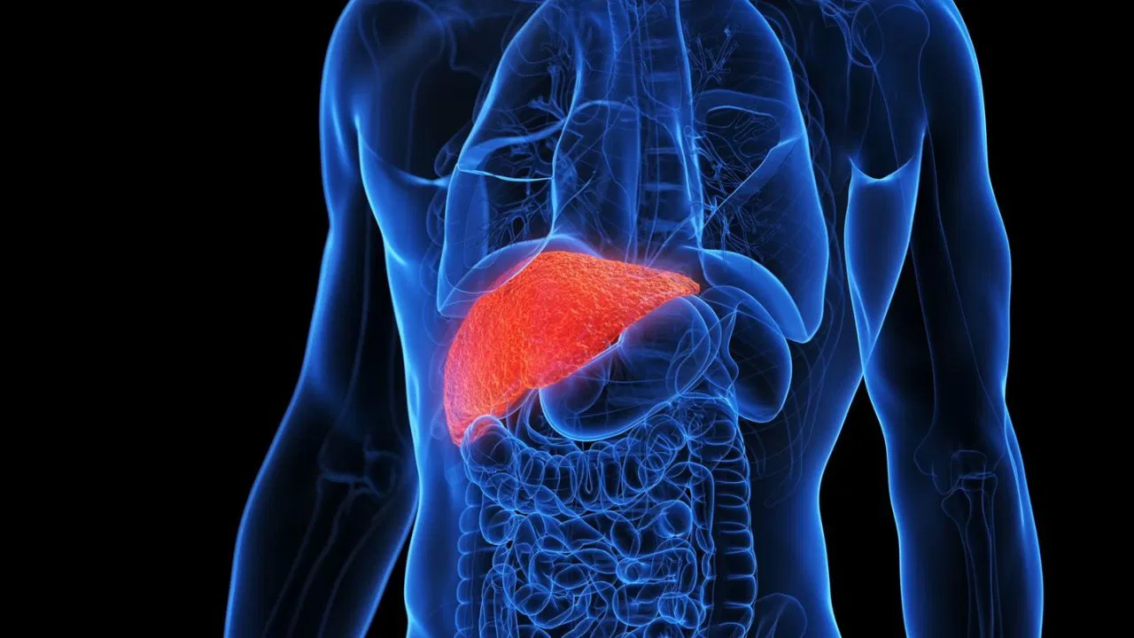 30% of people in India have fatty liver despite not drinking alcohol ...