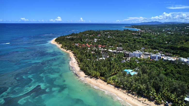 A Beach Town On The Dominican Republic's Wilder, Less Touristy Side Is ...