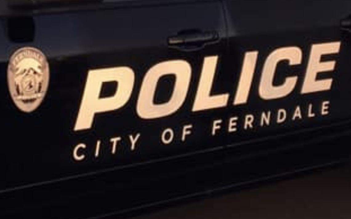 Whatcom County man faces assault charges following knife attack