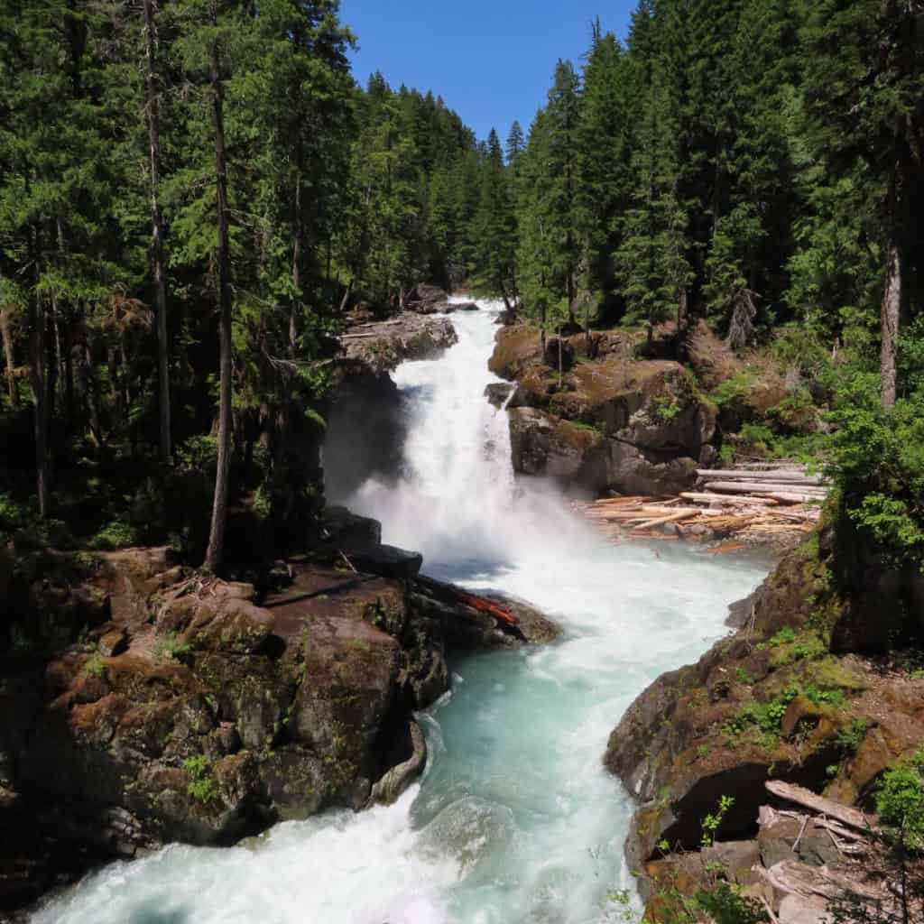 Silver Falls Loop Trail - Mount Rainier National Park