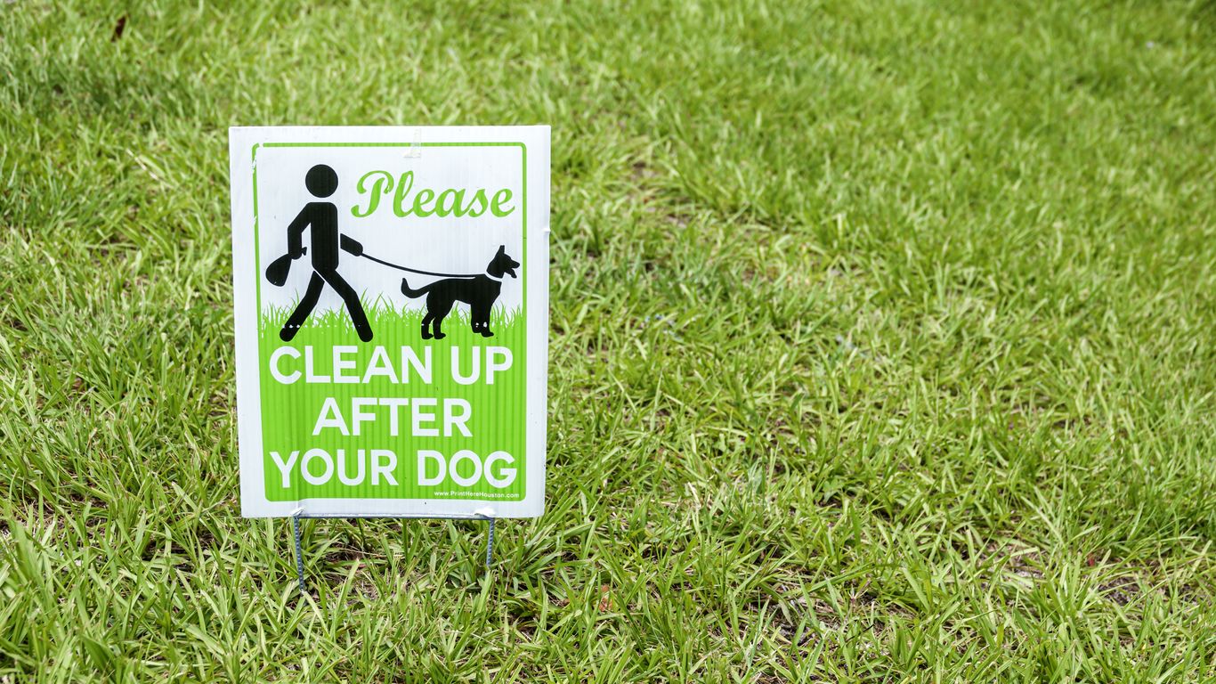 Miami-Dade prohibits dumping dog poop in a neighbor's trash can, but it ...