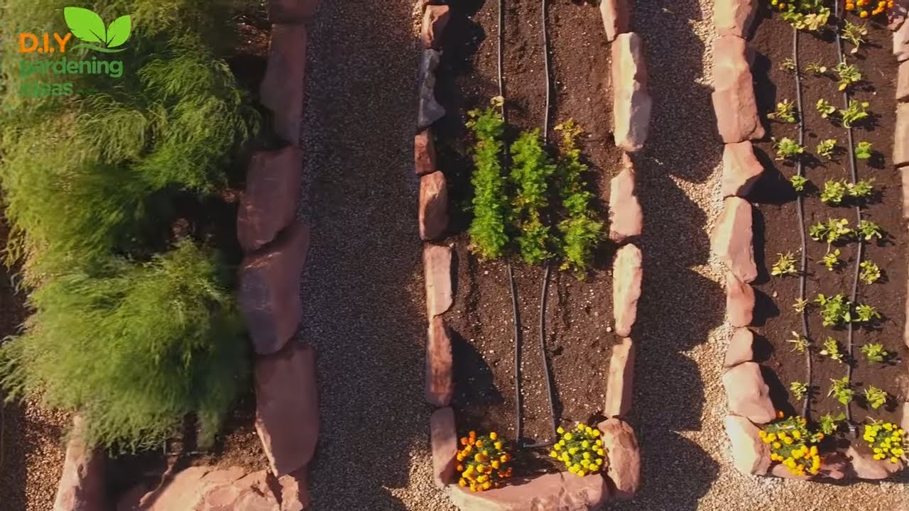 How to Start a Sustainable Vegetable Garden the Right Way