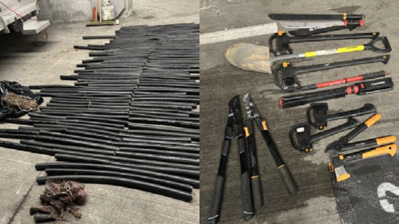 Suspect in Bellevue, Renton, WA copper wire theft spree faces 10 charges