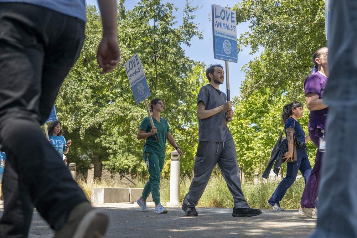 2,100 UC technology workers vote to join existing university union