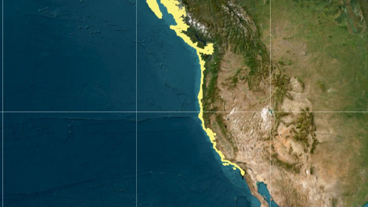 Los Angeles, San Diego, San Francisco Under Tsunami Watch After 8.7 ...