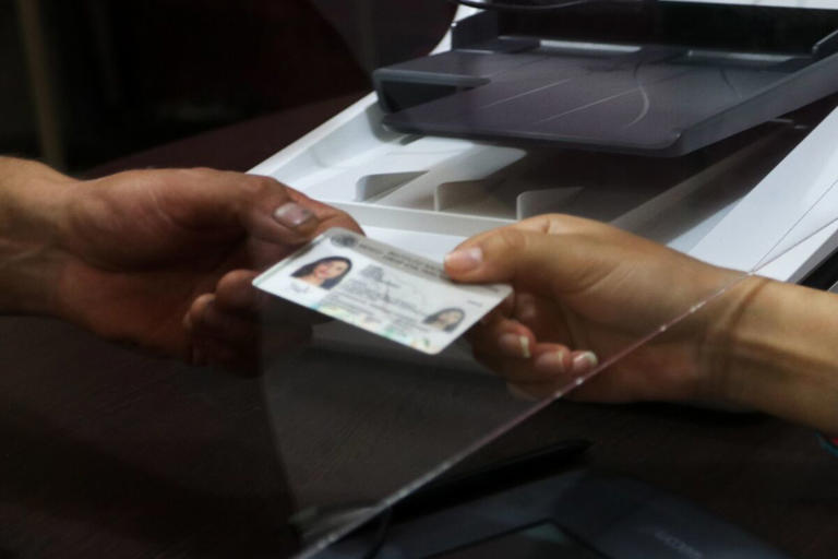 INE destruye entre 15 mil y 30 mil credenciales que no pasan a recoger ...