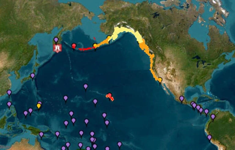 Tsunami warnings up in Japan, Alaska and Hawaii after 8.7-magnitude ...