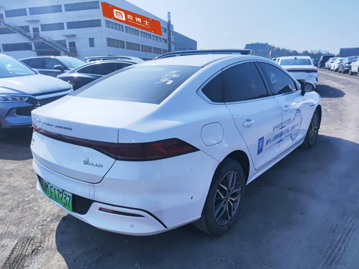 How fever helps fight disease