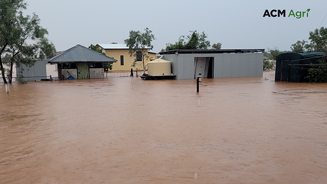 The toll the floods have taken abandoned home, metres of silt, smashed ...