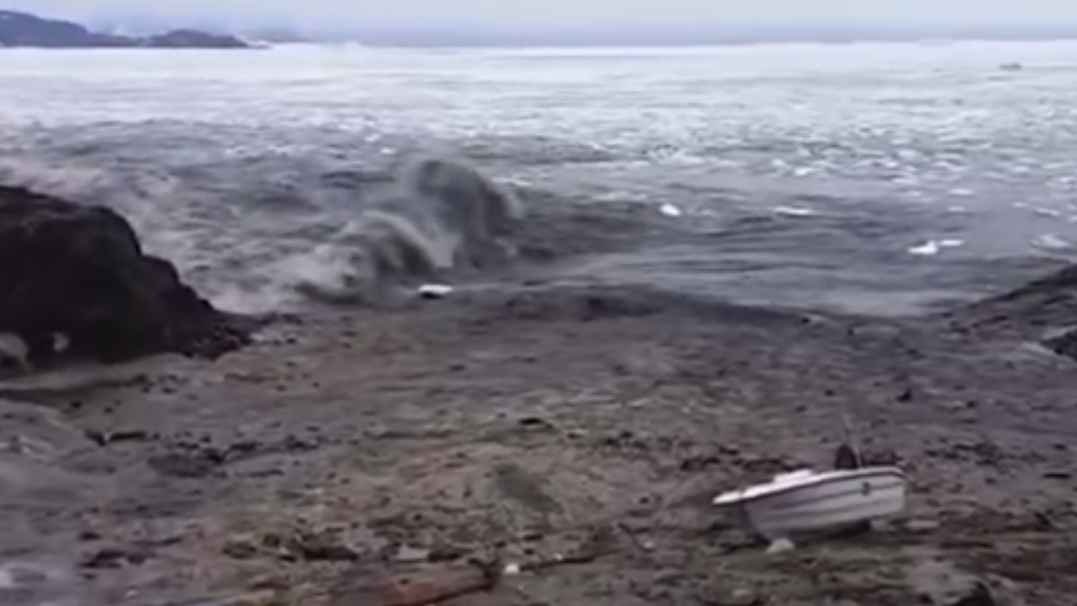 Russia Tsunami LIVE Updates: Sea Level Rises After Massive 8.8 Earthquake