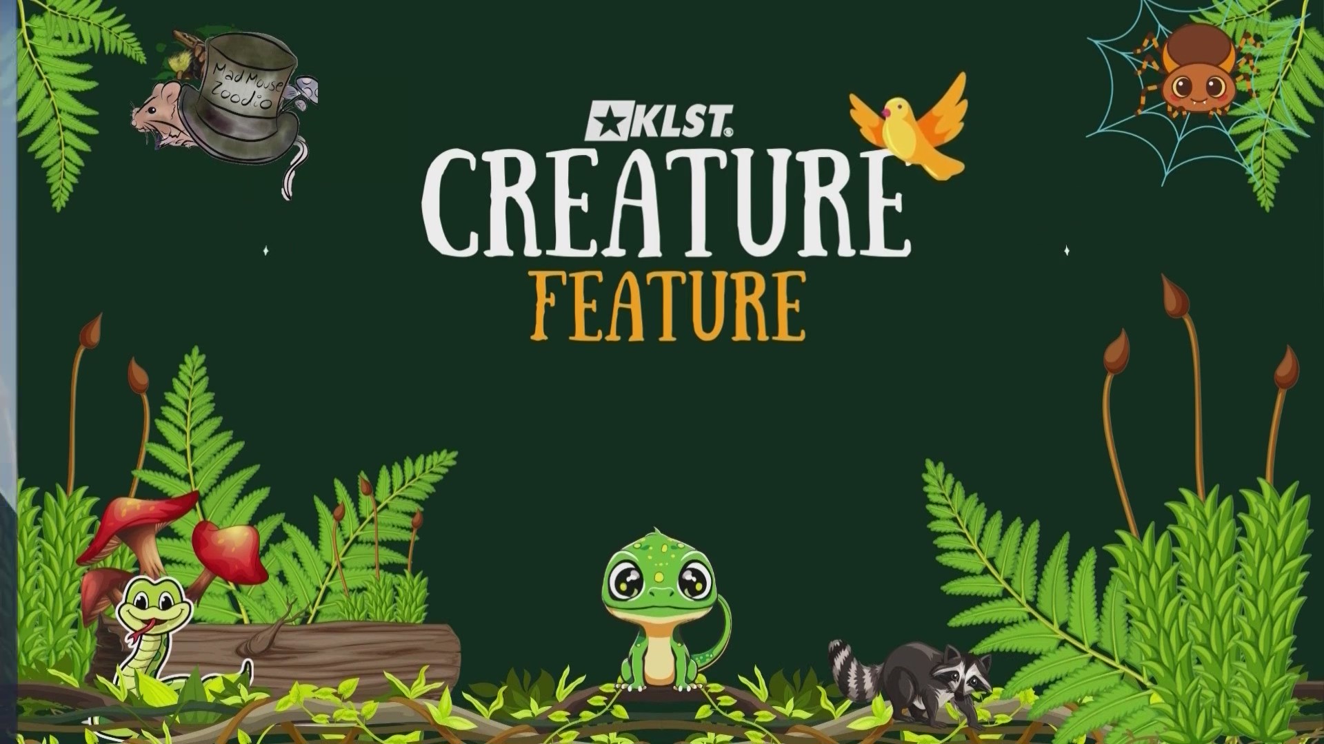 Creature Feature: Make way for millipedes!