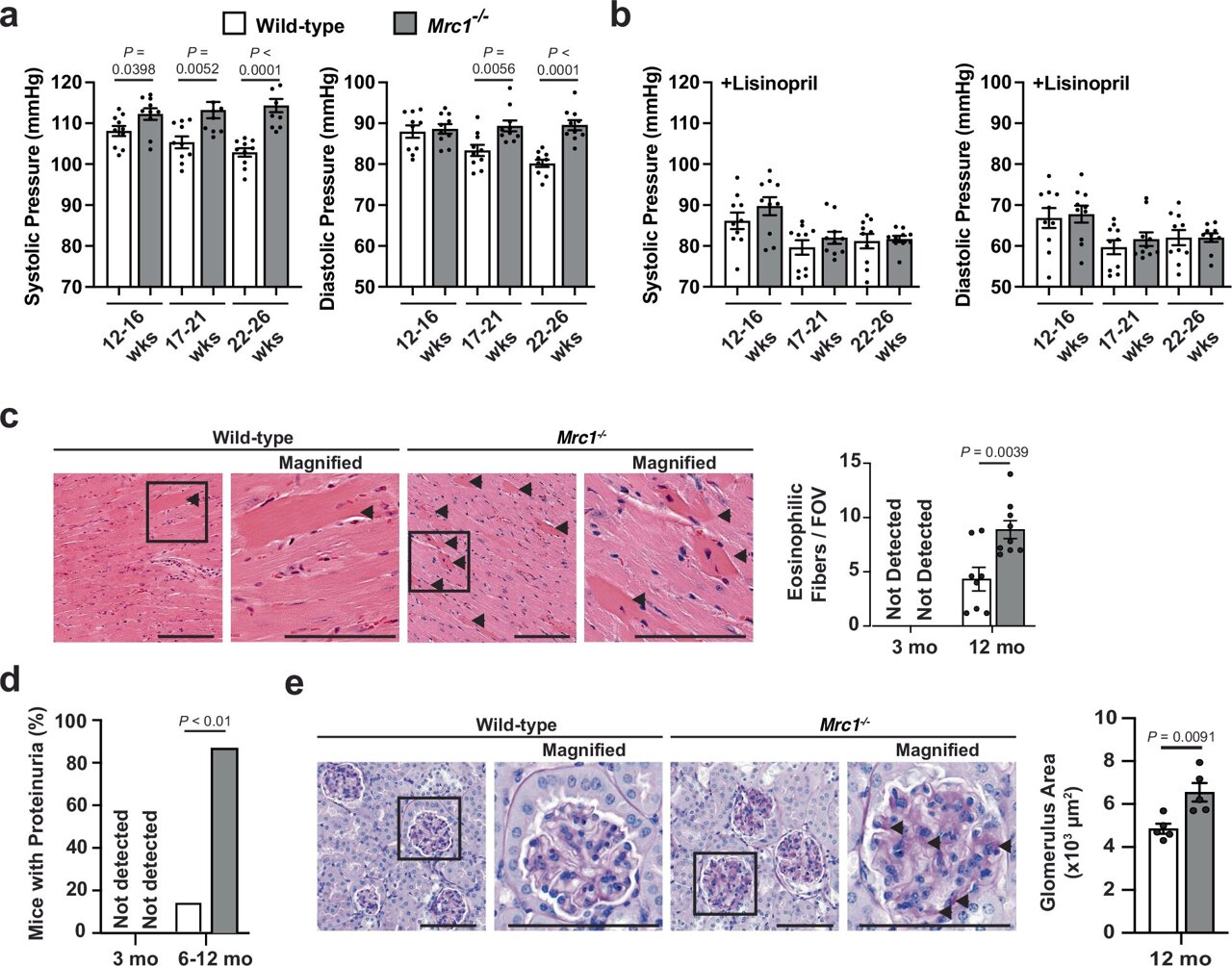 Signal boost uncovers hundreds of hidden binding partners for blood ...