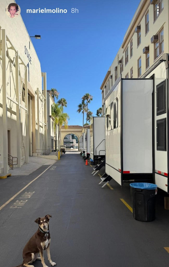 NCIS: Origins Season 2: Is Mariel Molino Coming Back?