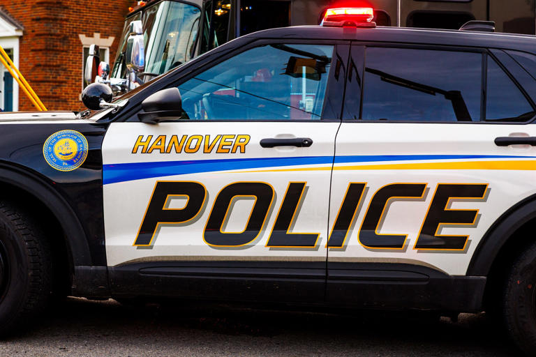 Hanover police find 31 credit cards, 4 guns allegedly taken from cars