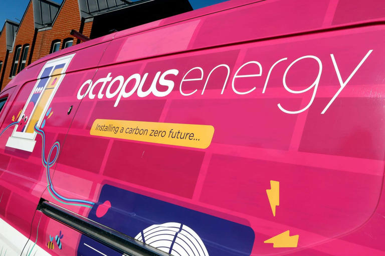 Octopus Energy to trade renewables in China after striking joint venture