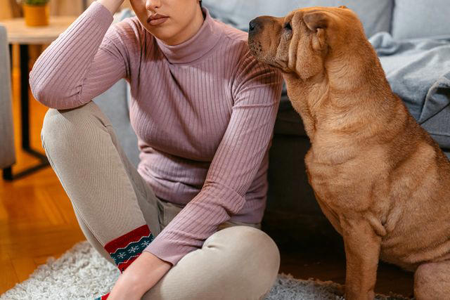 She Took in Her Dying Aunt’s Dog and Ended Up With an Inheritance. Now ...