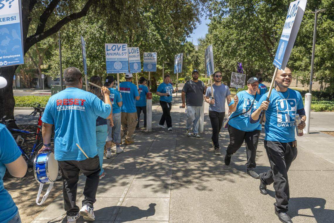 UC Davis veterinary staff protest staffing shortage, wage disparities