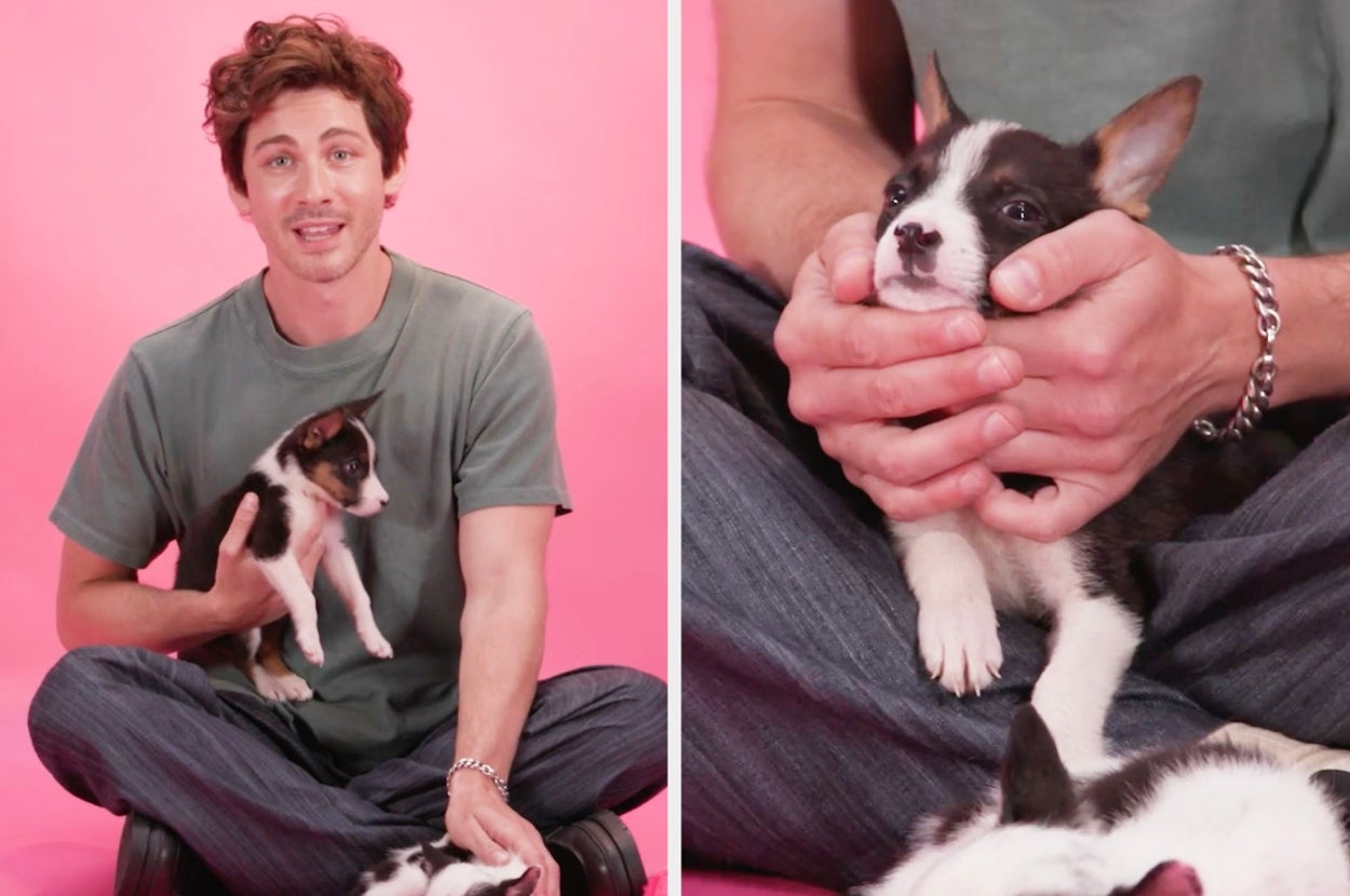 Logan Lerman Just Did The Puppy Interview, And It's Extremely Wholesome