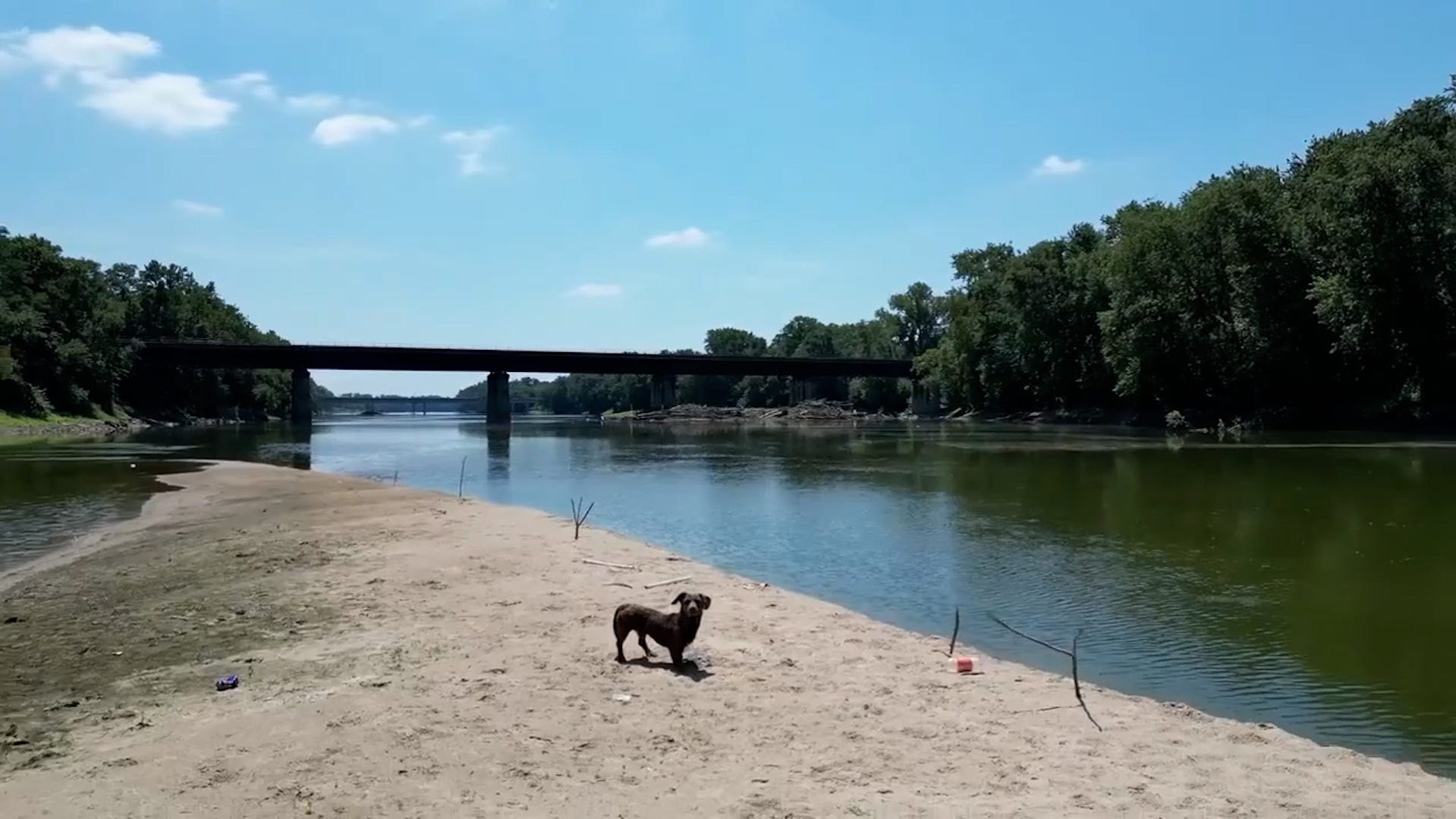 Indiana fire department saves dog stranded on river sandbar using a drone
