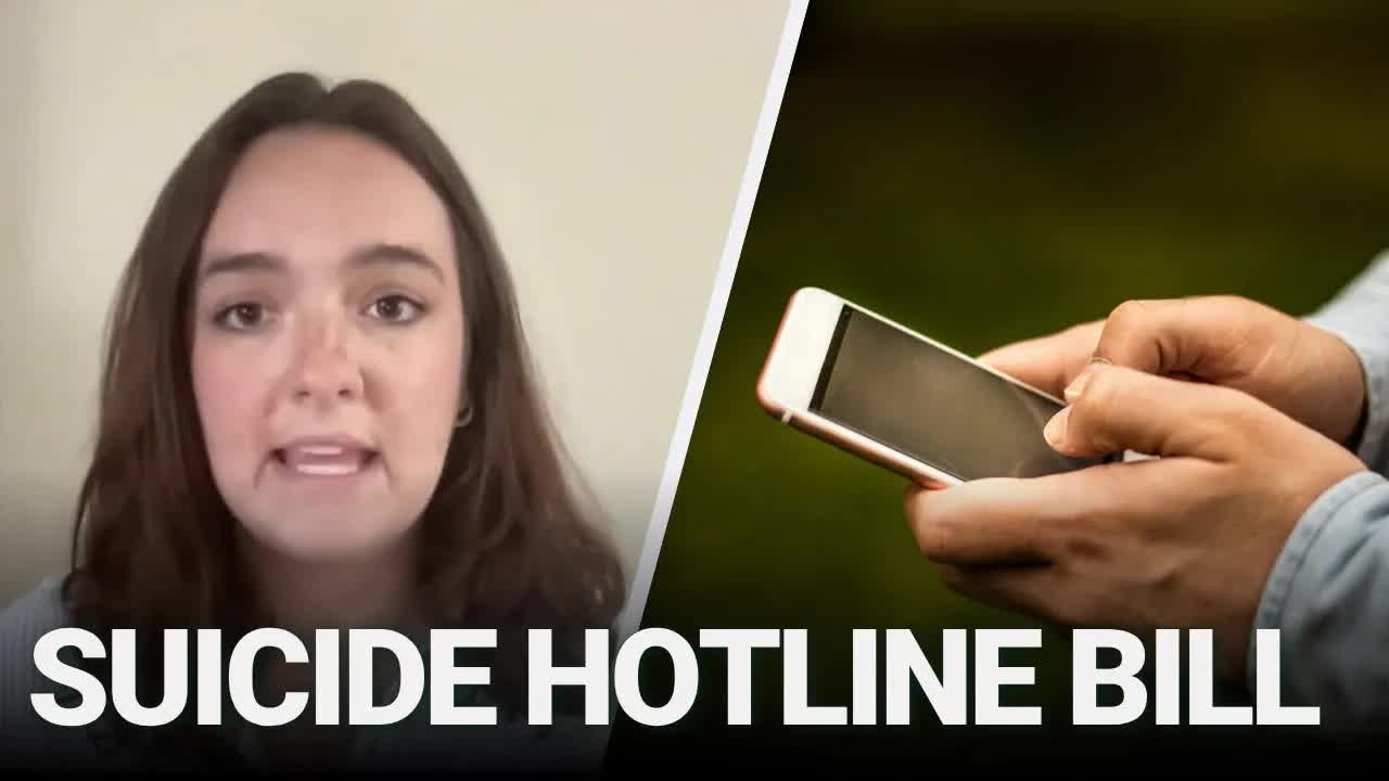 Police link suicide hotline bill to risk of online predators