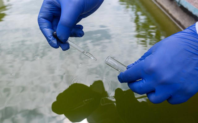 Scientists issue urgent warning over troubling phenomenon that could poison food supply ...