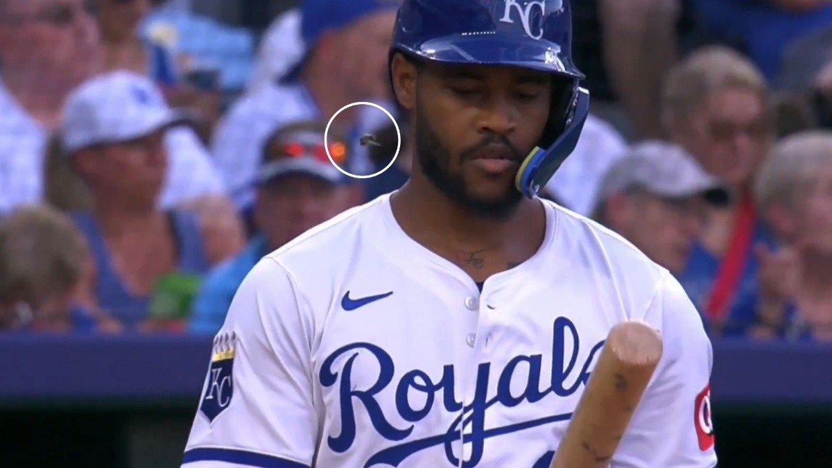 MLB: Ronald Acuña Jr.'s Cousin Gets Interrupted by a Bee Sting During ...