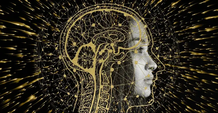 Quantum computing occurs naturally in the human brain, study finds