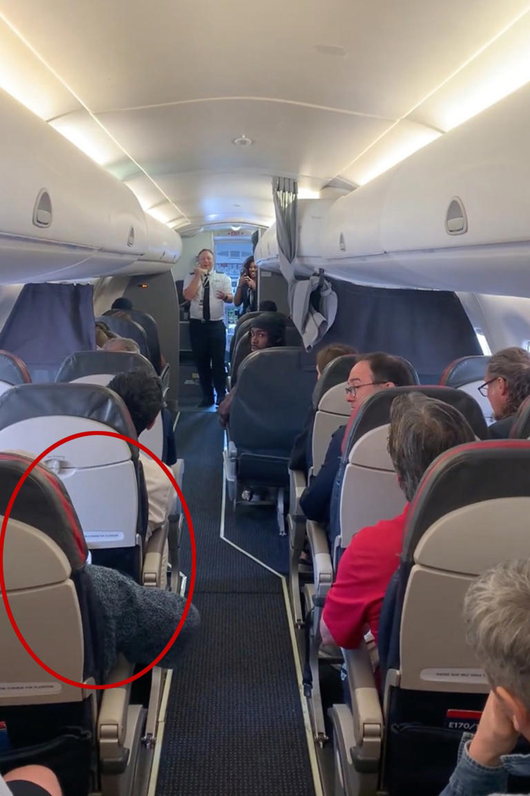 Utah pilot surprises grandma who had no idea her grandson was on the ...