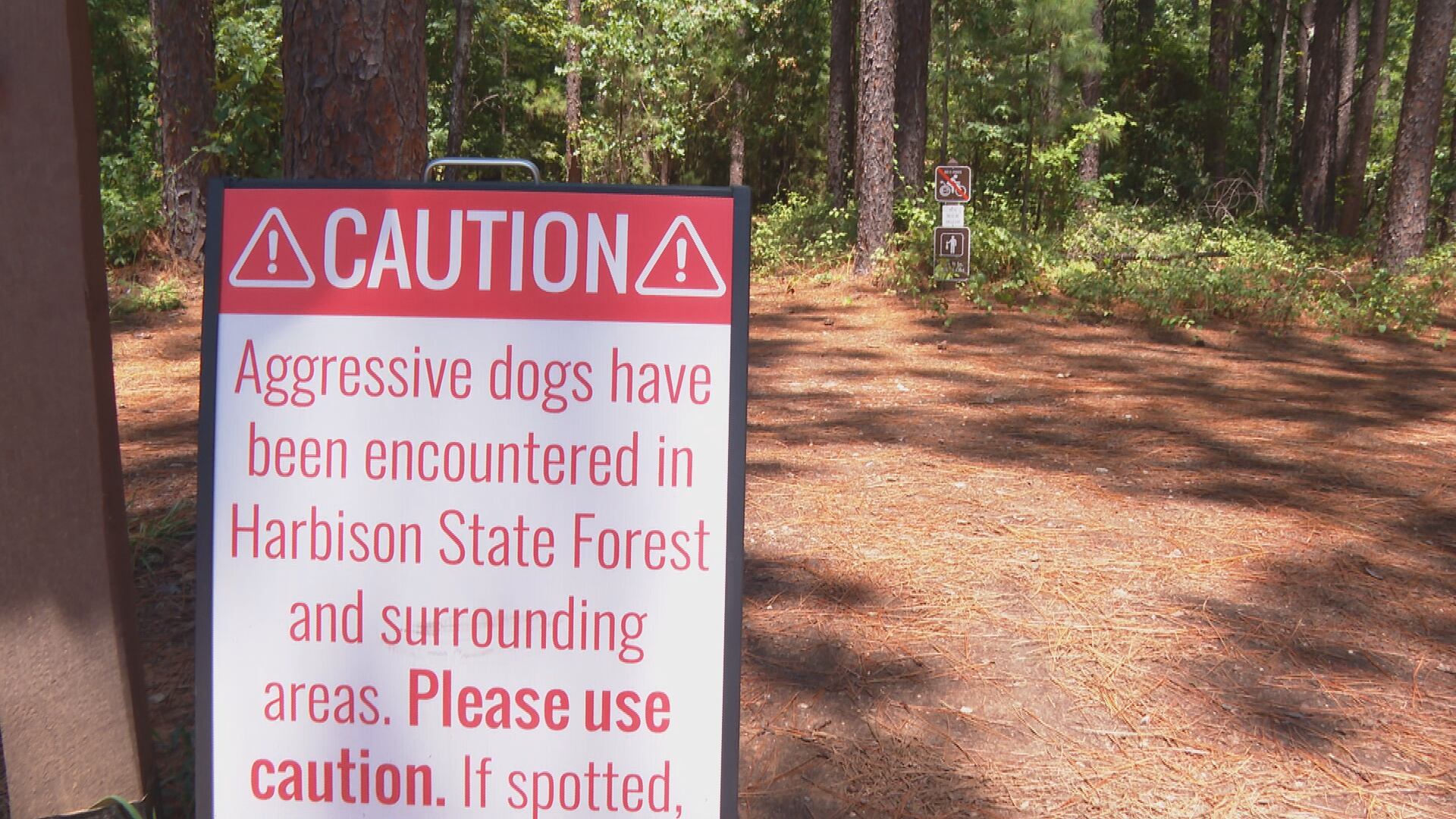 Officials warn Harbison State Forest visitors to stay vigilant after ...