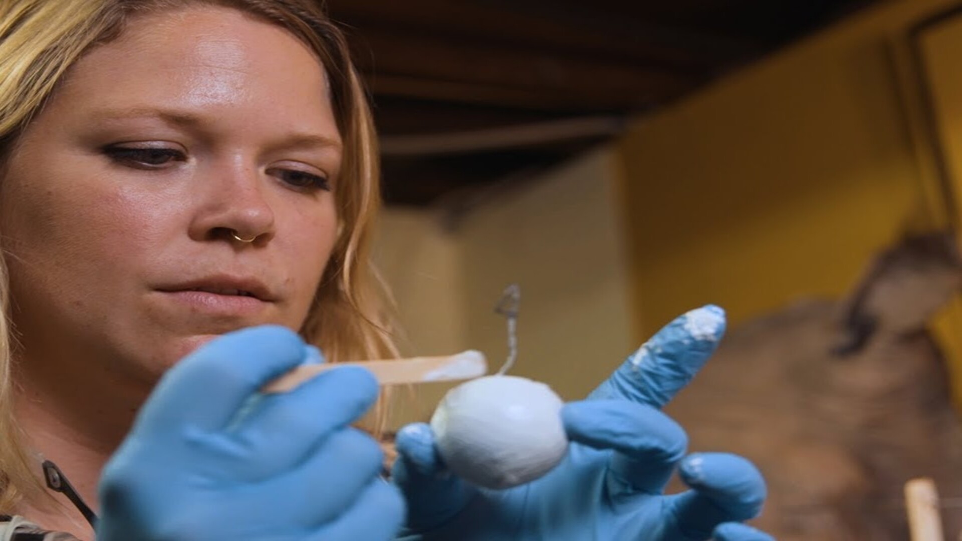 The ingenious fake turtle eggs tackling poaching